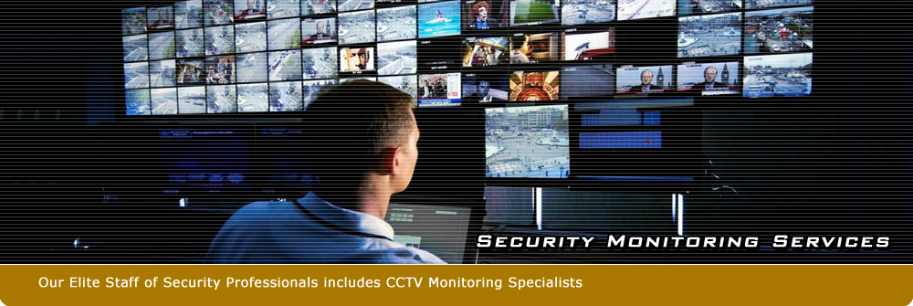 Top Flight Security: Security Services | Security Guards & Officers ...