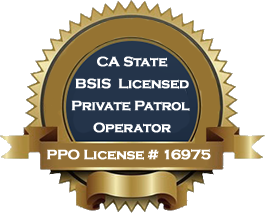 About Top Flight Security - Private Security Services
